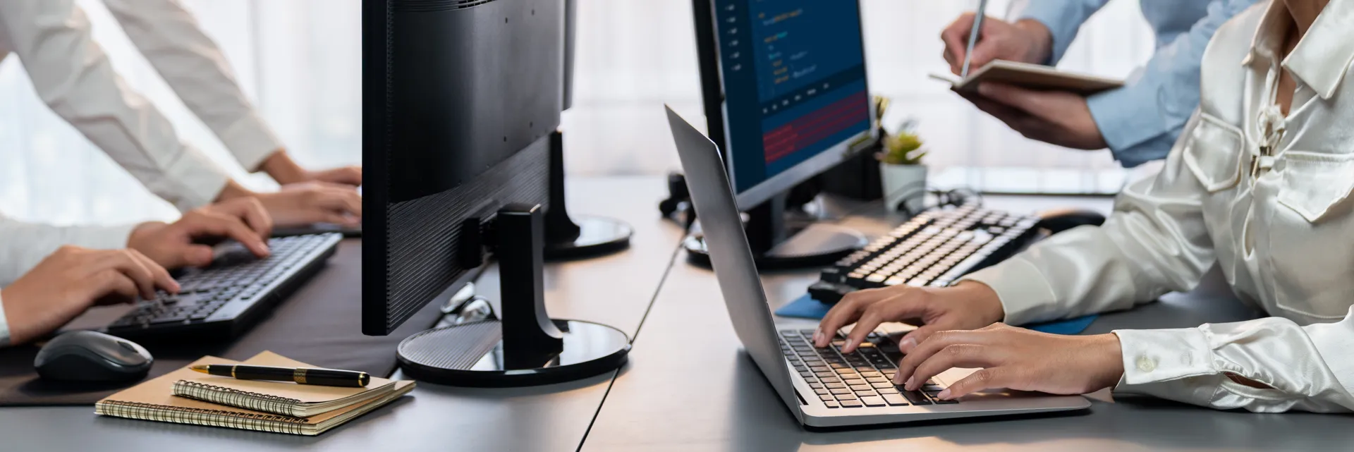 Professional Software Development Services